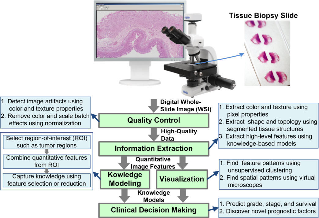 WSI Quality Control | Bio-MIBLab
