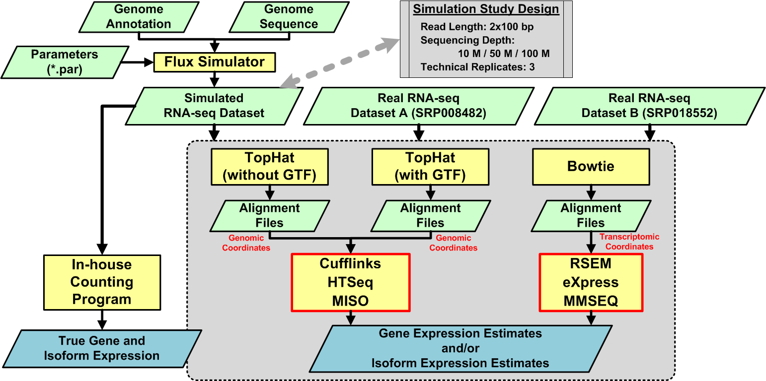 Next-Generation Sequencing | Bio-MIBLab